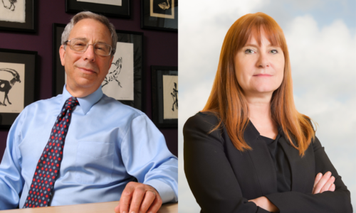 Harvard Law School Features BGL In Article - Brown Goldstein Levy