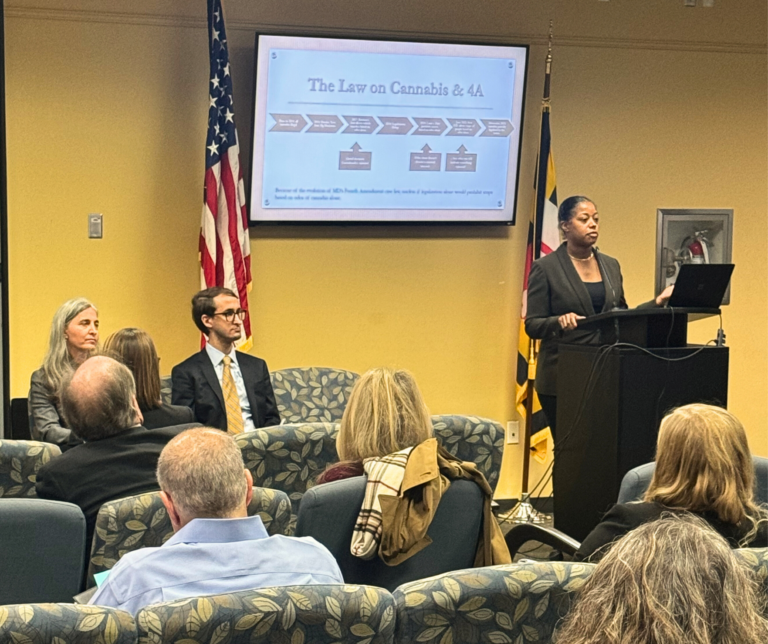 Michelle Hall Speaks on Criminal Justice Act Panel - Brown Goldstein Levy